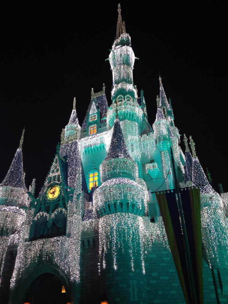 Disney Photo Tips and Ideas + 50 Not-to-Miss Shots - Mommysavers.com